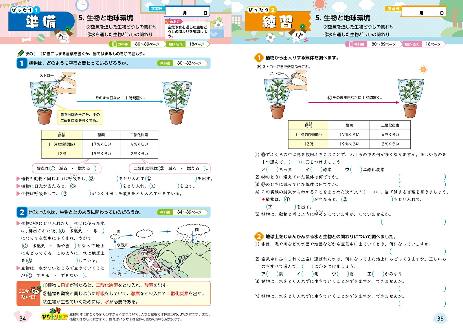 楽天ブックス 小学 教科書ぴったりトレーニング 理科6年 大日本図書版教科書完全対応、オールカラー、丸つけラクラク解答、ぴたトレ7大特別